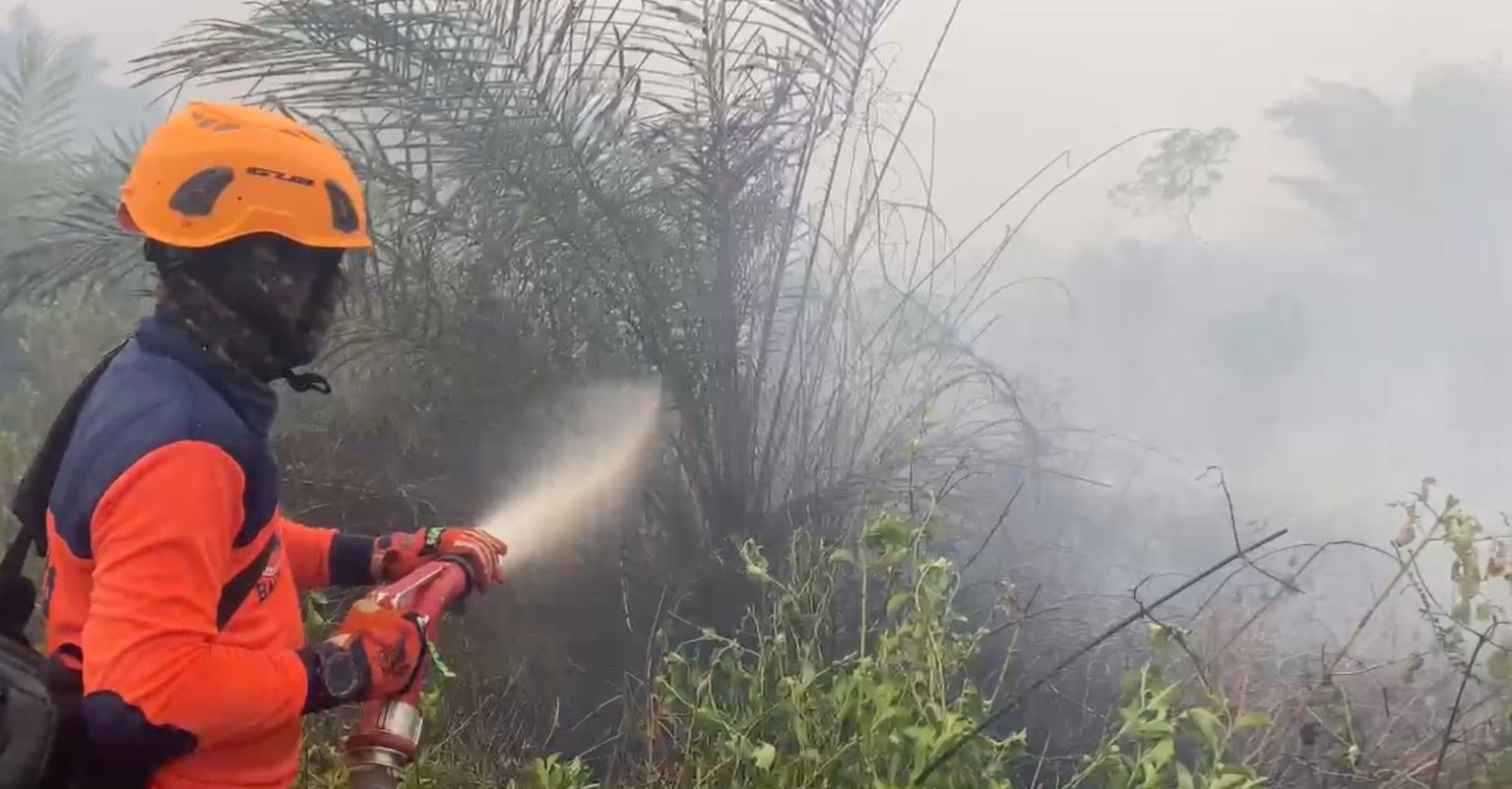 Angin Kencang Karhutla di Kubu Raya Kalbar Terus Meluas – SuaraIndo.id