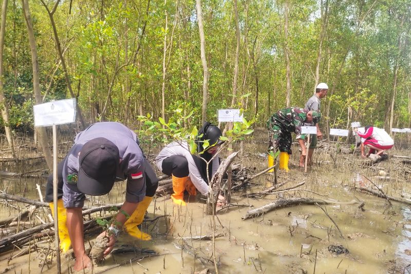 Kemenag Bengkayang Tanam Ratusan Mangrove dan Gerambang dalam Rangka ...