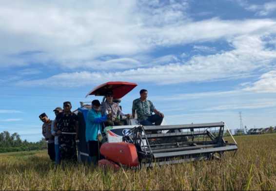 Singkawang Ikut Panen Raya Padi Serentak 14 Provinsi: Langkah Nyata Menuju Swasembada Pangan ...