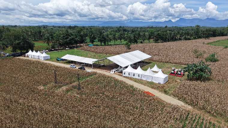 Presiden Prabowo Subianto Hadiri Panen Raya Jagung Serentak Kuartal II di Bengkayang – SuaraIndo.id